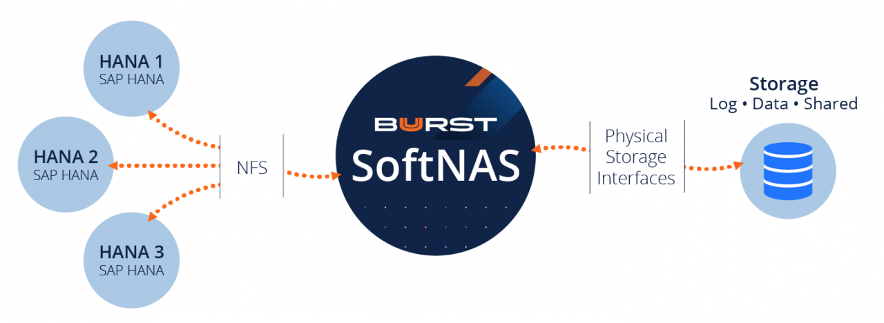 SAP HANA: SoftNAS Cloud NAS for SAP HANA | Buurst, Inc