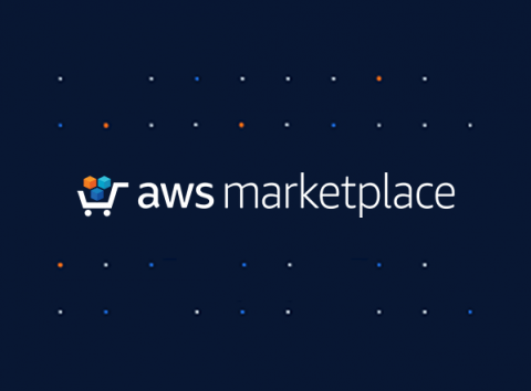 AWS NAS Storage Solution - SoftNAS on Amazon Web Services